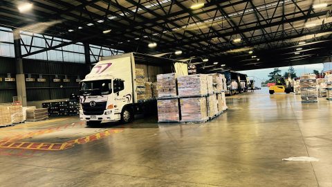 Reliable Same Day Auckland Freight Forwarders - Freight PlusHome ...